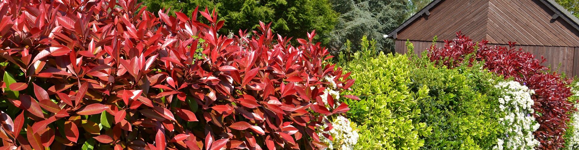 Entretien de nos haies - Ville d`Erstein